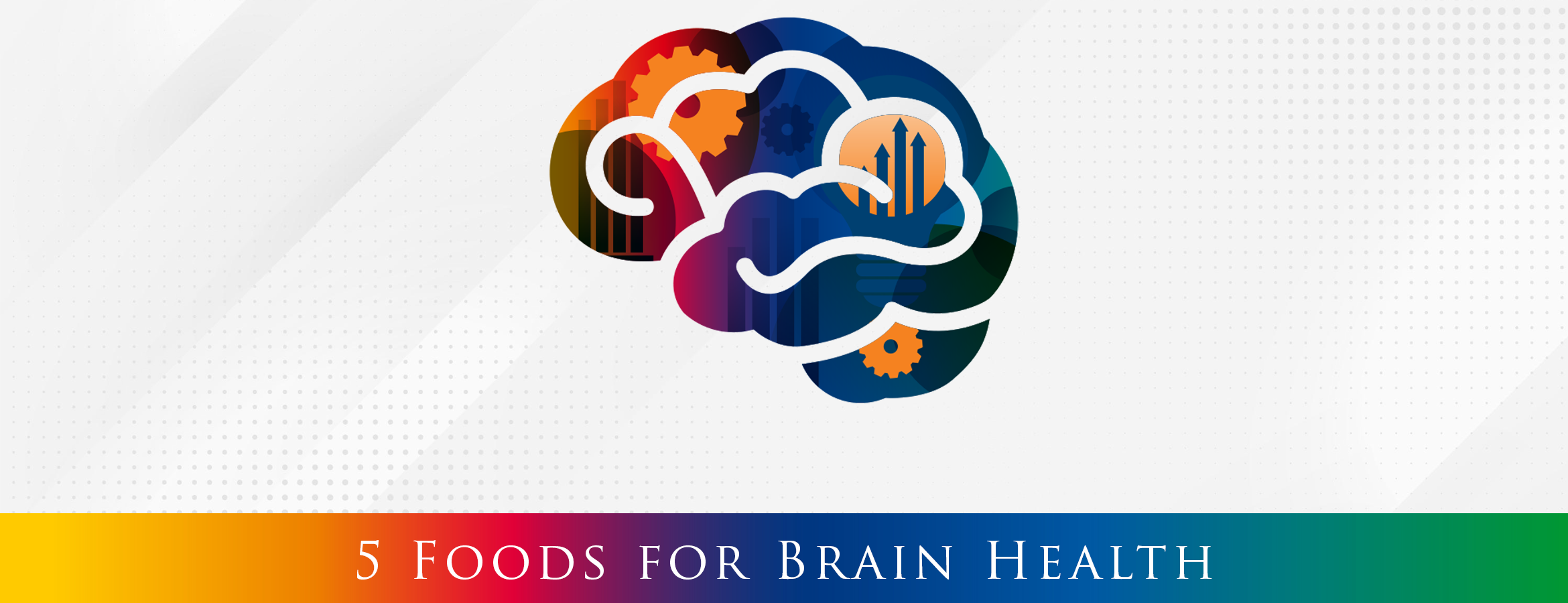 5 Foods That Help Support Brain Health – Holistic Way