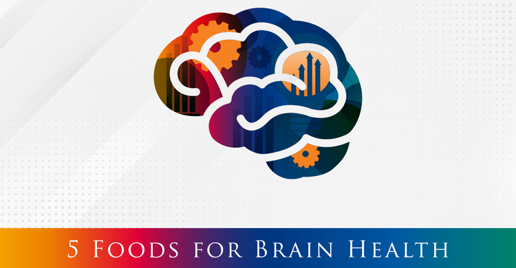 5 Foods That Help Support Brain Health – Holistic Way