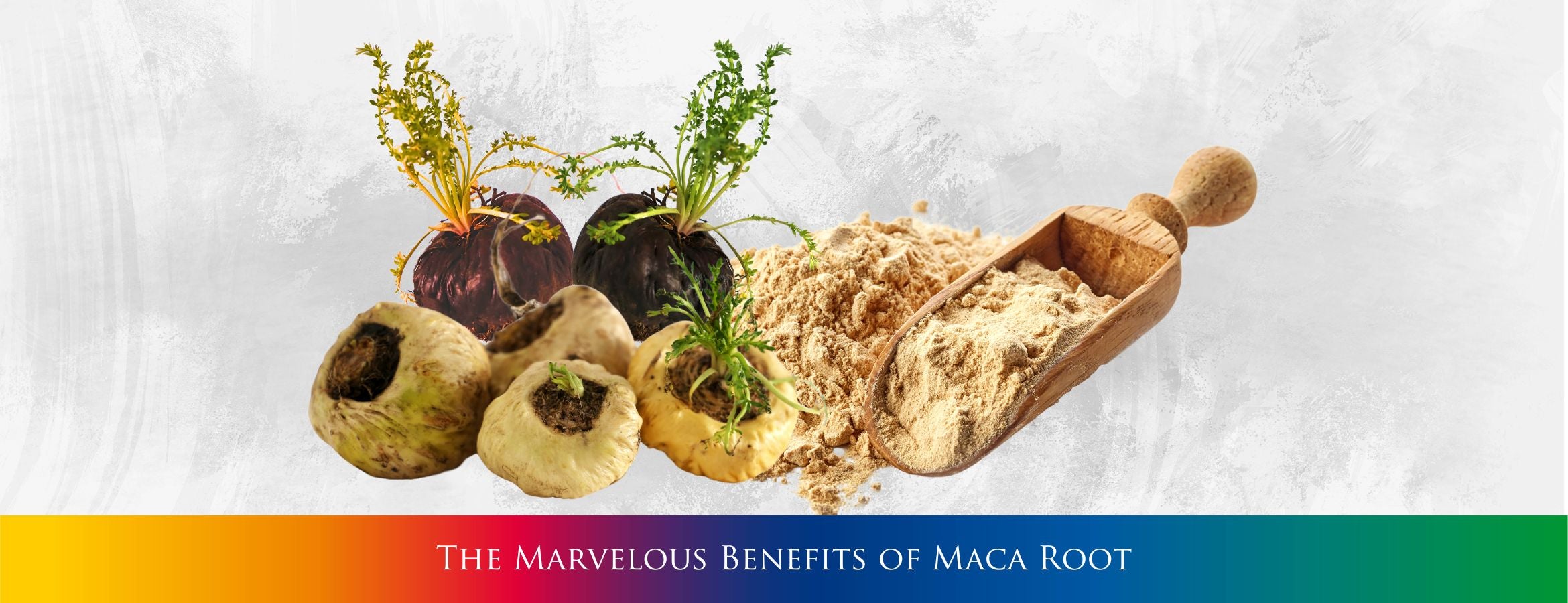 The Marvelous Benefits of Maca Root – Holistic Way