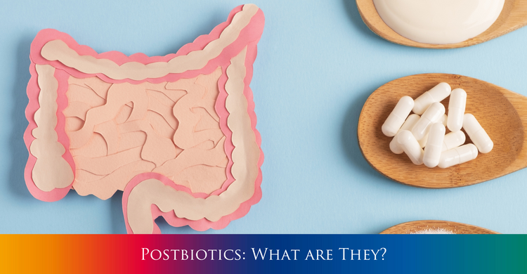 Postbiotics: The New Frontier in Gut Health – Holistic Way