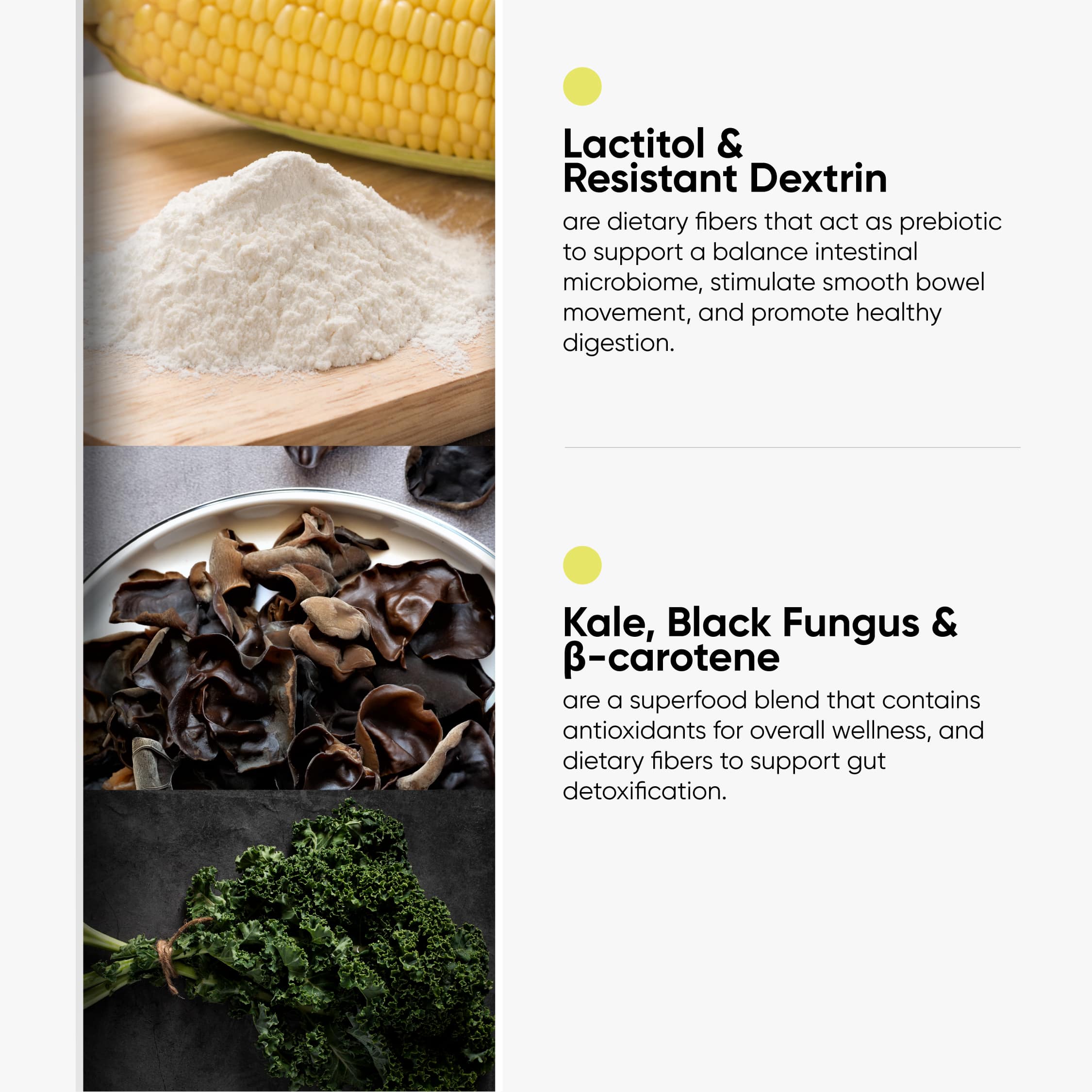 Holistic Way Bio-Elixir Super Detox Shot (10 Sachets)