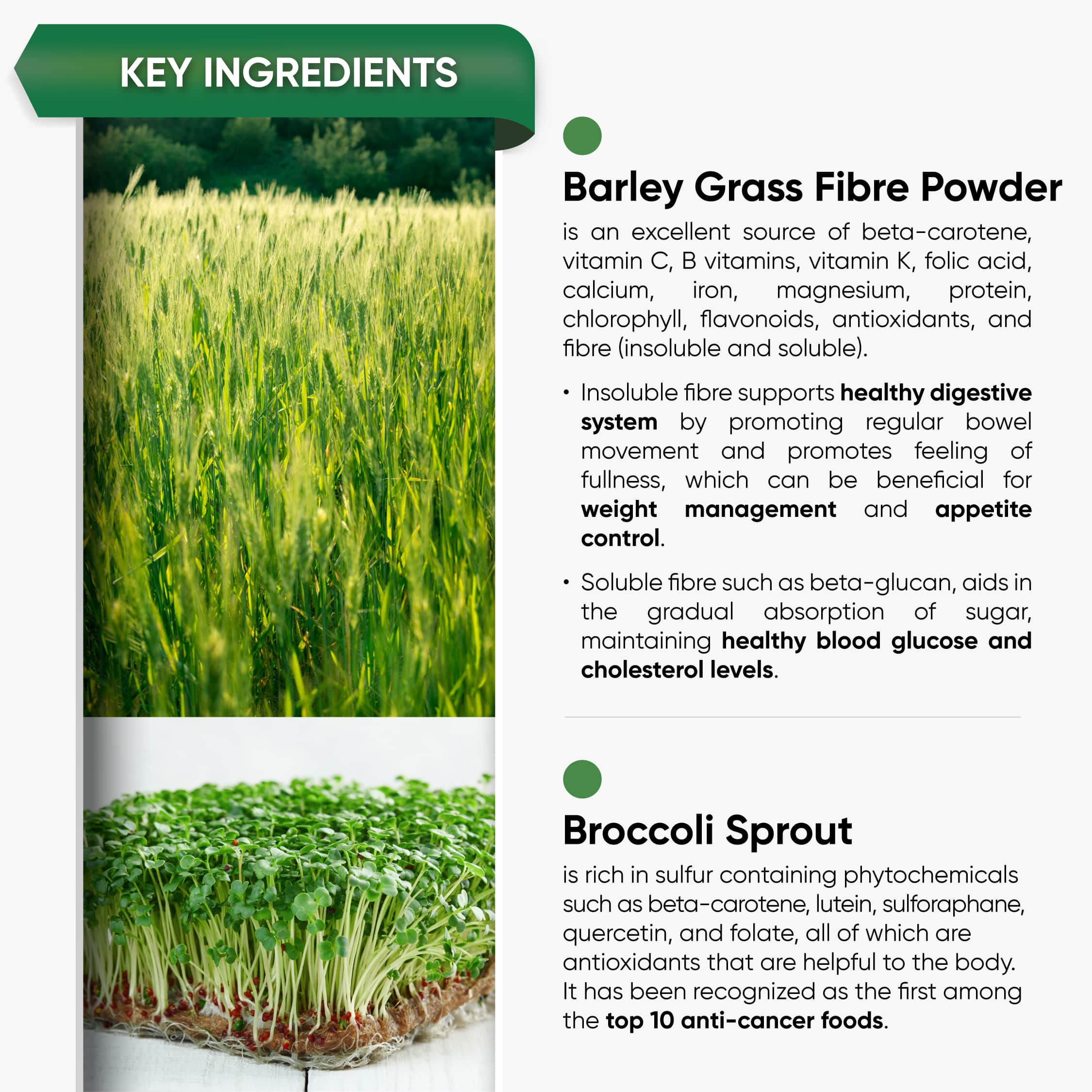 Holistic Way Super Barley Greens (30 Sachets)