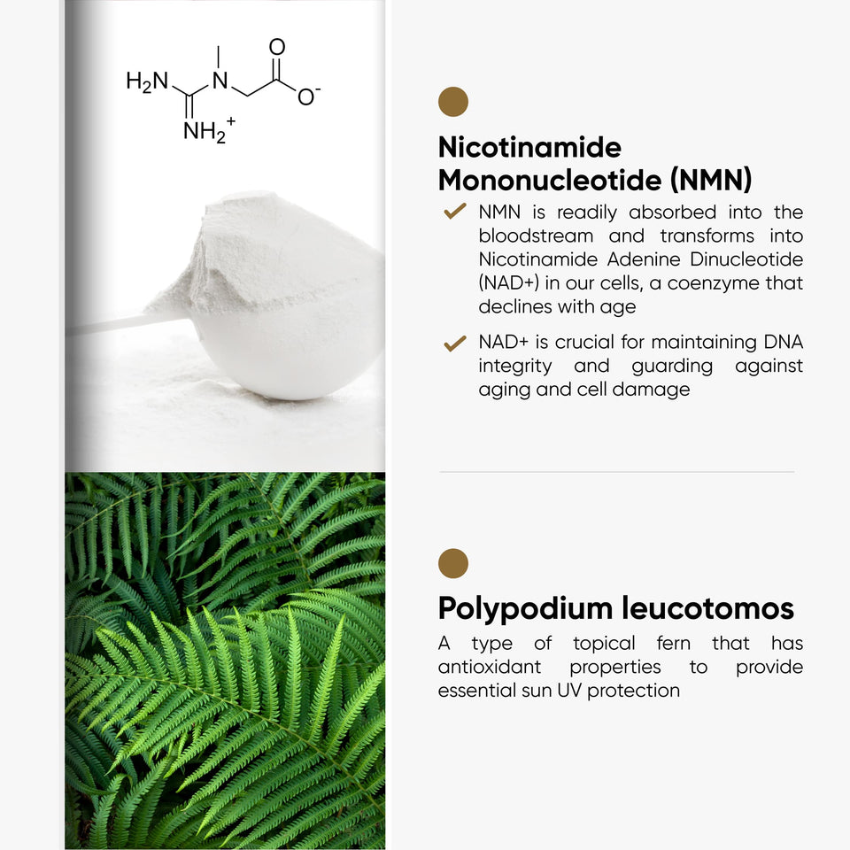 Holistic Way Premium Gold Diamond White Collagen